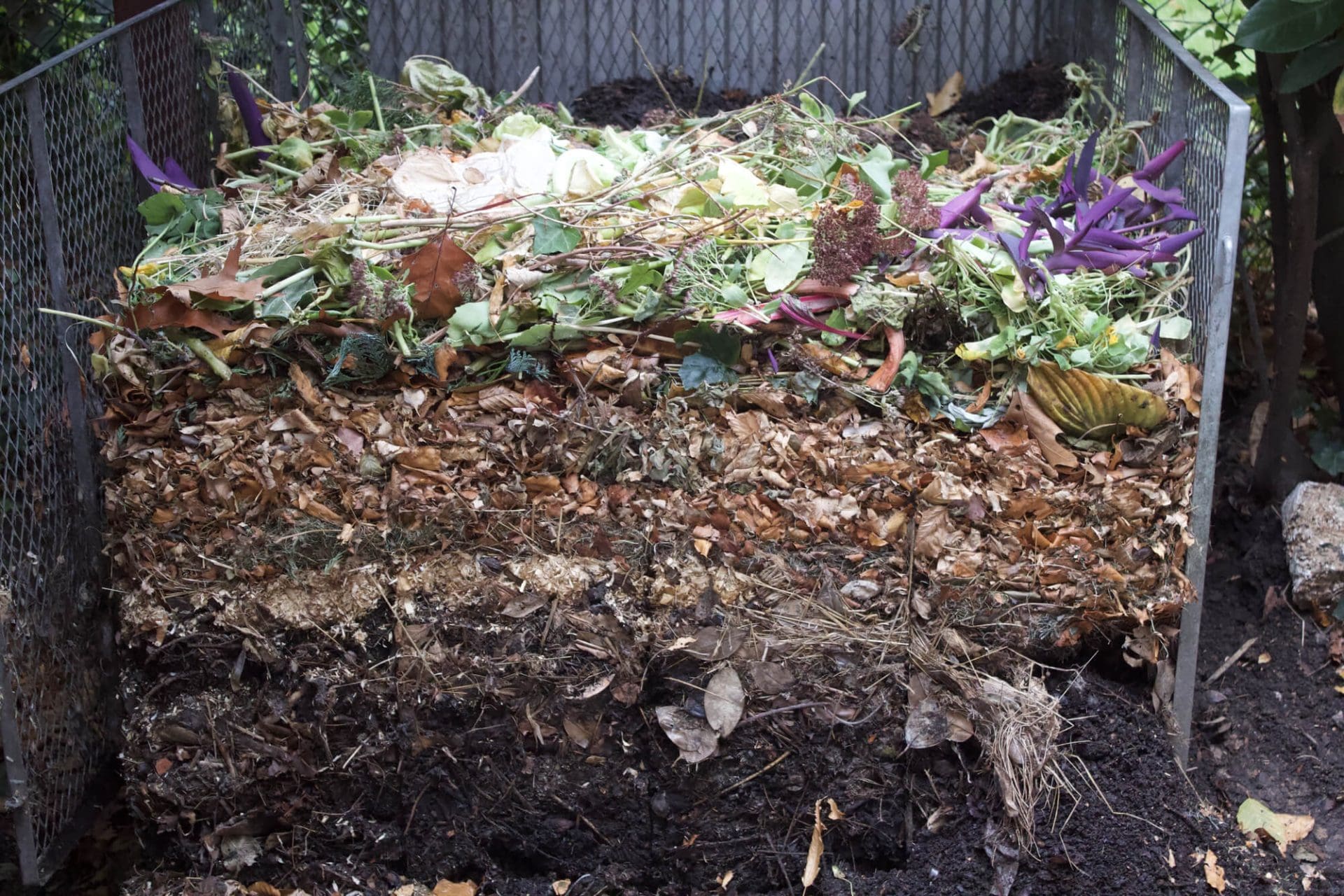 The Ultimate Guide to Composting at Home - Anderson Home Inspections